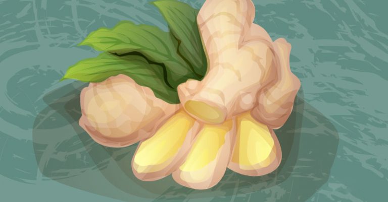 6 Positive Effects Of Ginger: It Helps Fight Many Health Problems ...