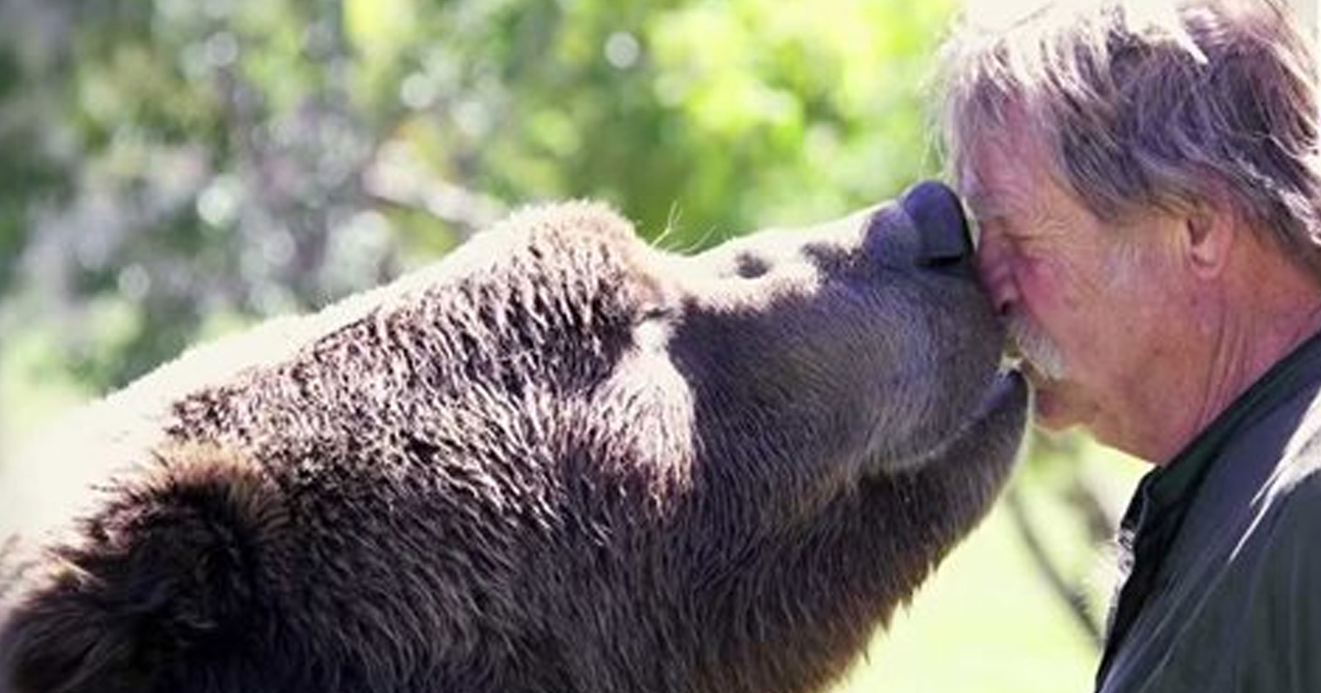 Check out Bart the Bear and Doug Seus’s unbelievable relationship - us ...