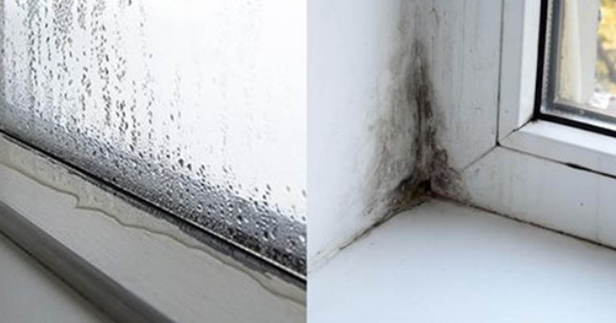 5 reasons for damp windows and what methods work against them - us ...